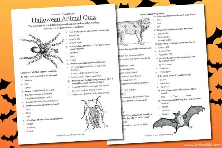 Scary Animals Pictures & Facts With FREE Printable Quiz | Environment.org