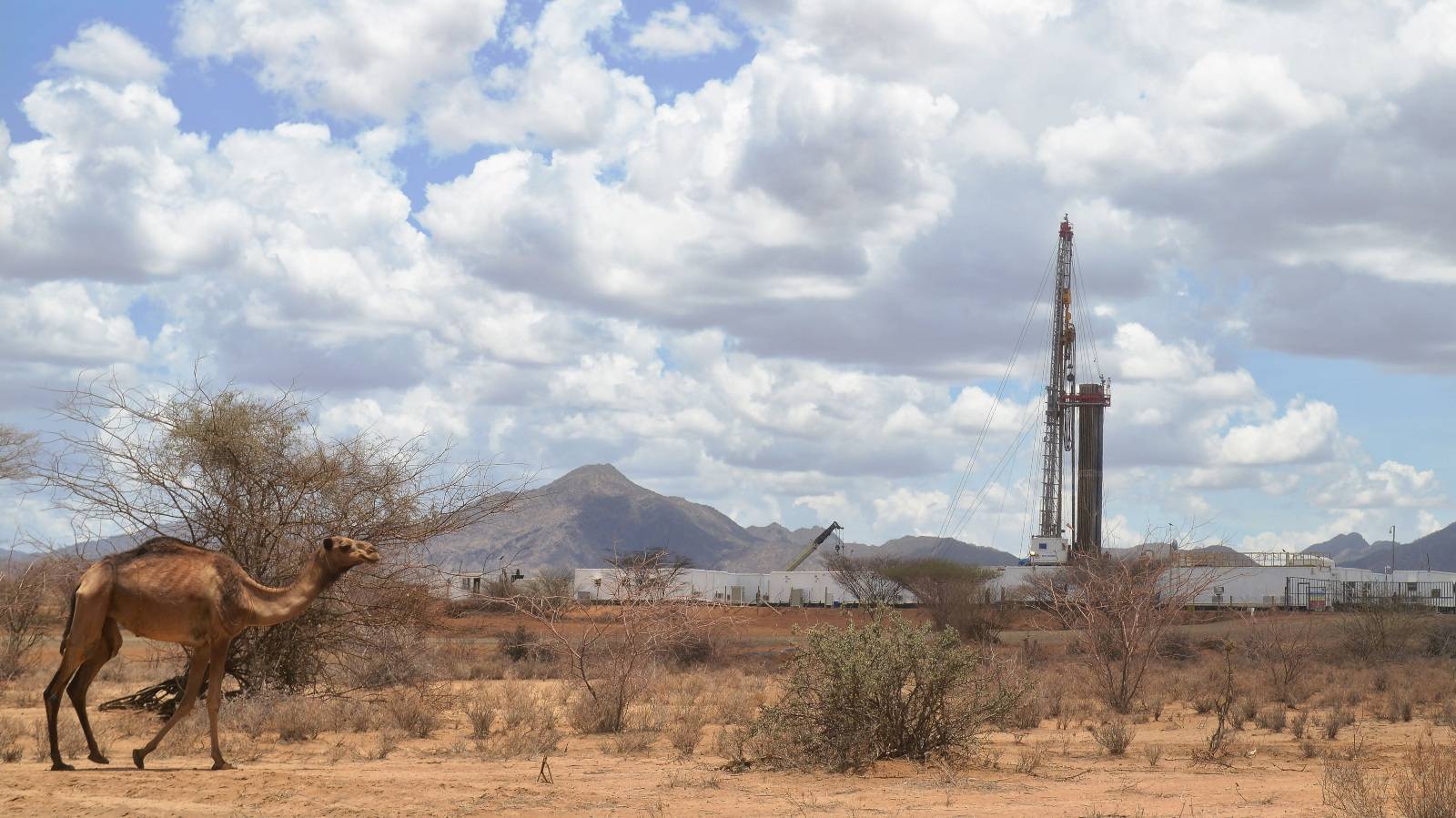 Adaptation, loss and damage, and African oil: What’s at stake at COP27 ...