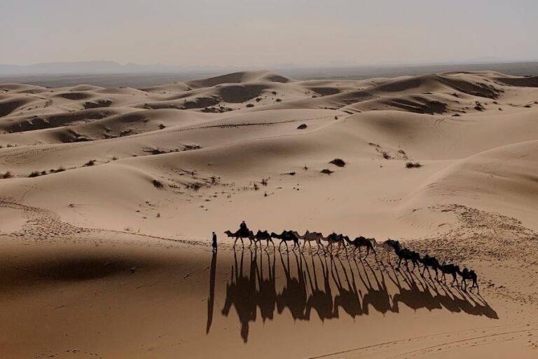 Sahara Desert Facts, Pictures: Discover The World’s Largest Desert ...