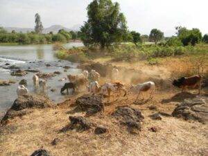 Major Rivers Of Africa: Famous African Rivers, Pictures & Facts ...